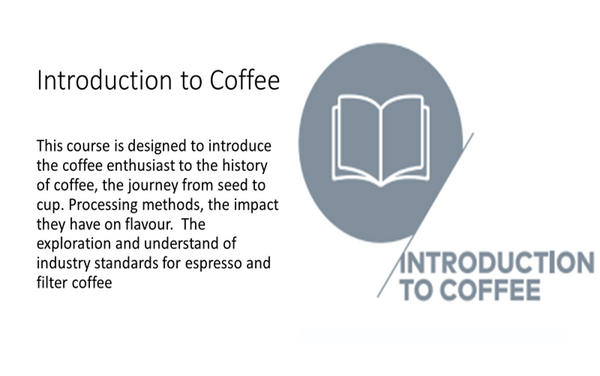 Barista Courses | Coffee Making Training Ireland